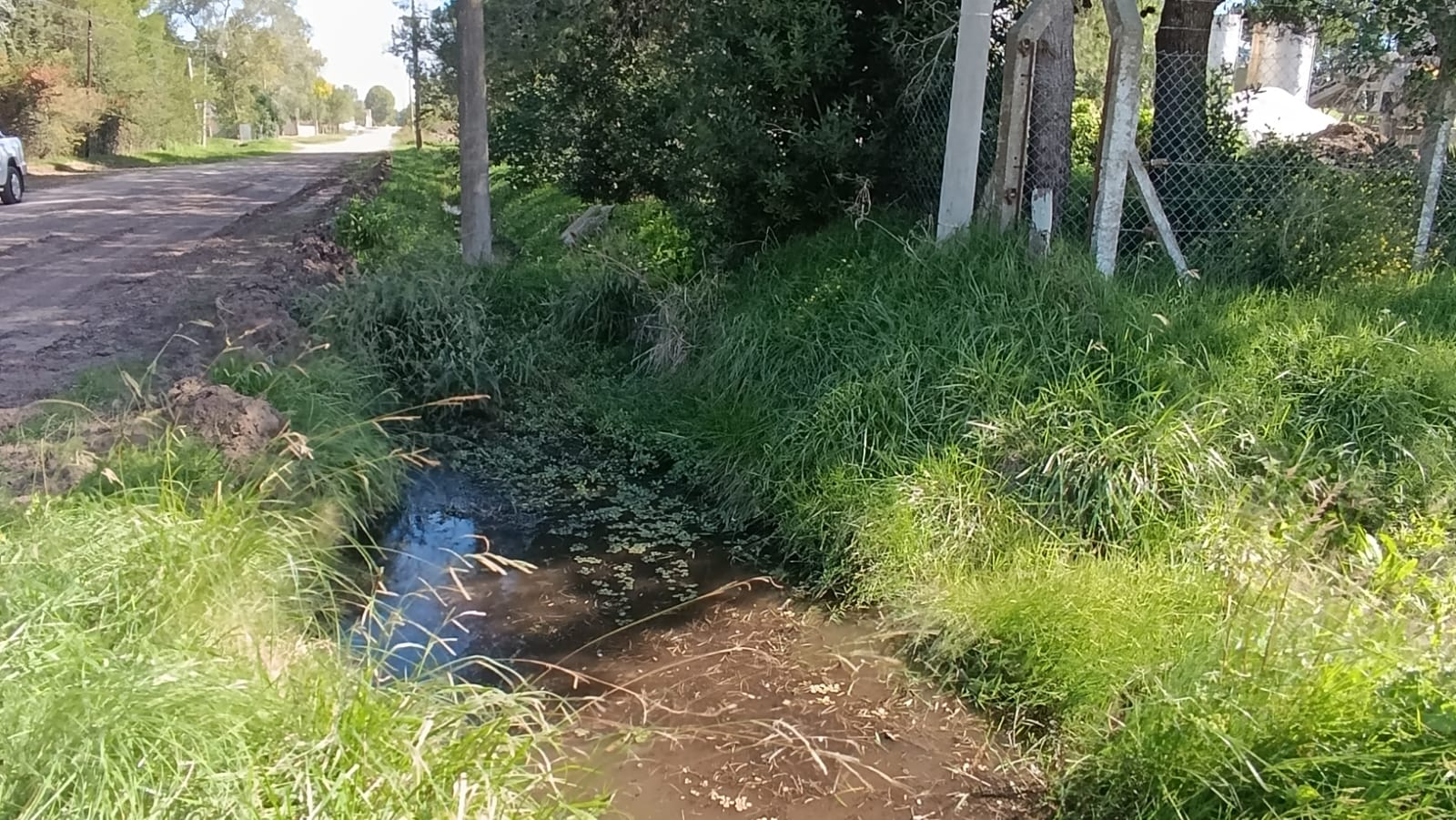 Por derrame de aceites en el Corralón Municipal: la concejal María ...