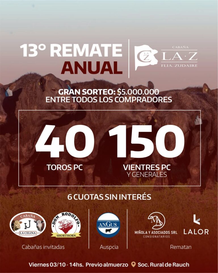 Receta de marucha a la parrilla: trucos para que salga tierna y sabrosa ...