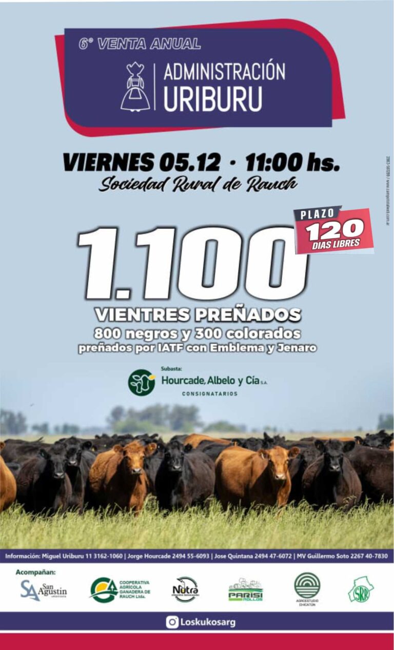 Receta de marucha a la parrilla: trucos para que salga tierna y sabrosa ...